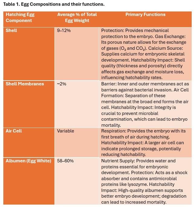 Maximizing Hatchability: The Critical Role of Premium Hatching Eggs ...