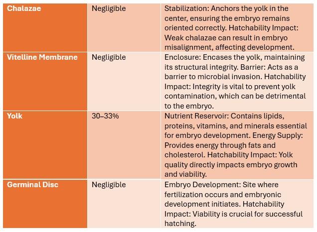 Maximizing Hatchability: The Critical Role of Premium Hatching Eggs ...
