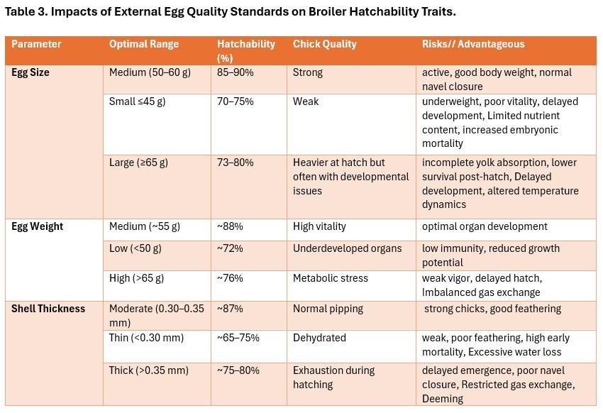 Maximizing Hatchability: The Critical Role of Premium Hatching Eggs ...