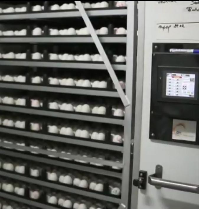 Introducing The Ruchenna Duck Hatchery - EmTech Hatchery Systems Ltd