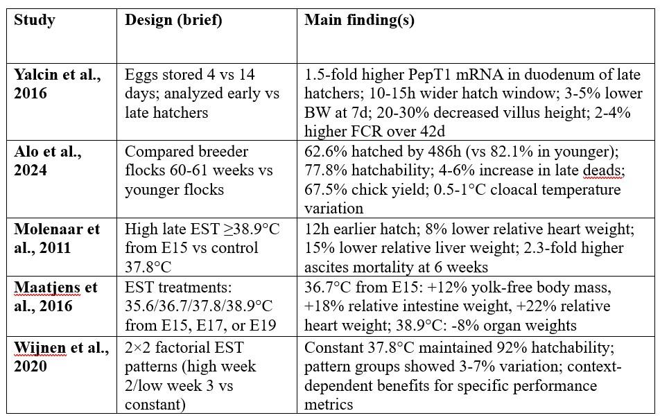 How Temperature Uniformity Shapes Hatch Window and Chick Quality ...